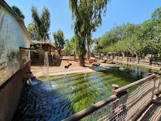 Municipal Zoo - Places in Cyprus - INDEX.cy